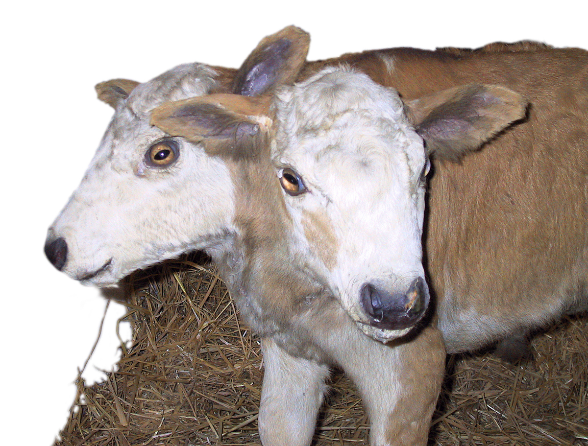 Highlights - Startseite